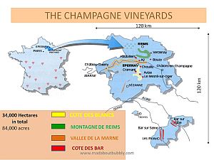 Off The Beaten Track In Champagne-Part 1 - My Man In Champagne - News ...